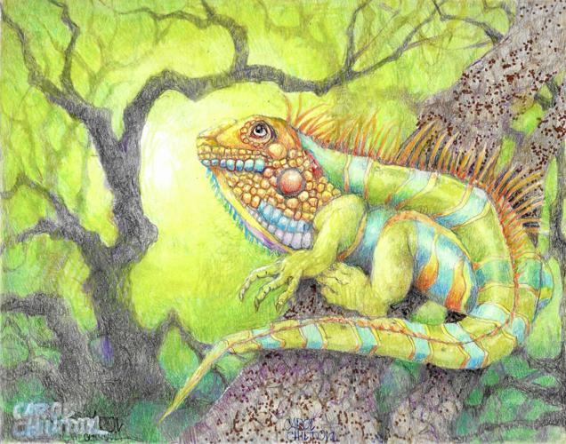 Mason House Gallery To Feature Works Of Carol Chilton | Lifestyles ...