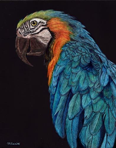 McKinney Center To Host Works Of Artist Susan Everitt | Lifestyles ...