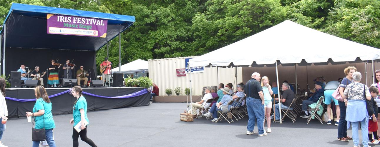 The Luck Of The Iris: Festival Sees Smiles And Sunshine, Not Rain ...