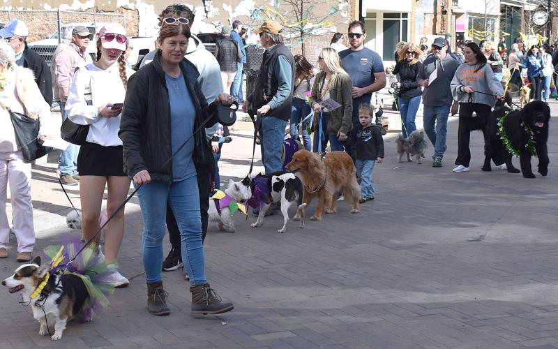 Tails Wag At Mardi Growl Dog Parade | Local News | greenevillesun.com