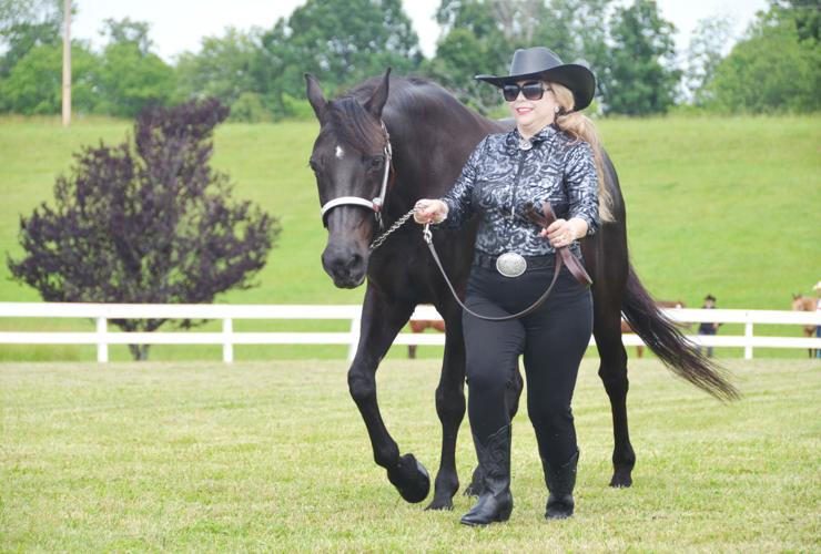 Crumley House Equestrian Club Is Trotting For A Good Cause | ACCENT ...