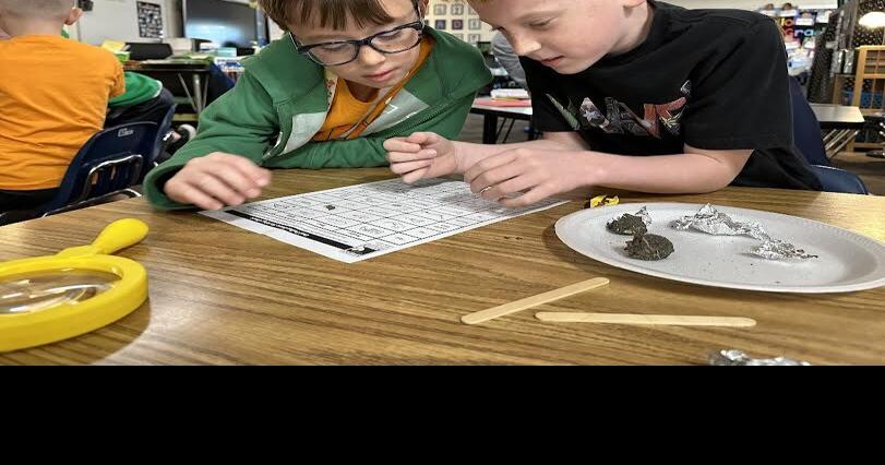 An Education In Regurgitation: Tusculum View Students Dissect Owl ...