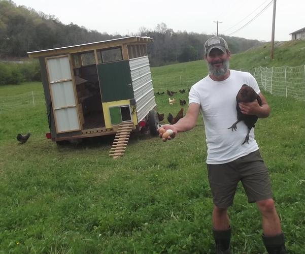Local Resident Sells Fresh Eggs From Refrigerated Stand Along Walking ...