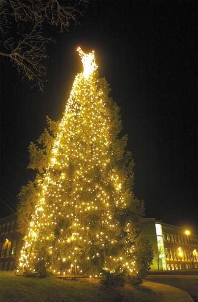 Tallest Christmas Tree In Town | News | greenevillesun.com