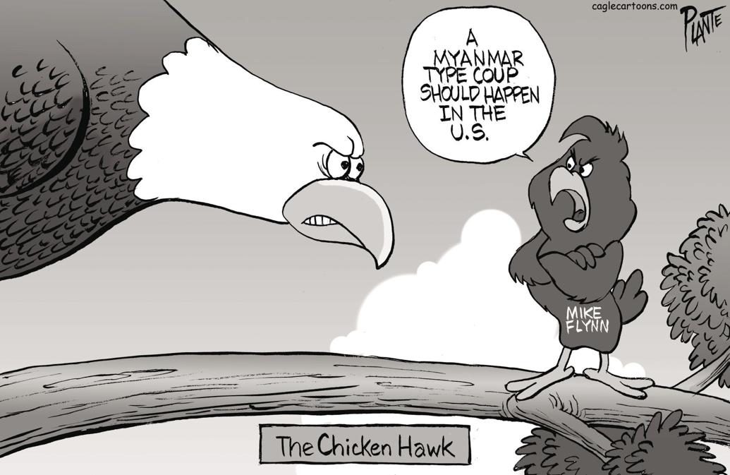 Flynn Calls For A Coup | Editorial Cartoons | greenevillesun.com