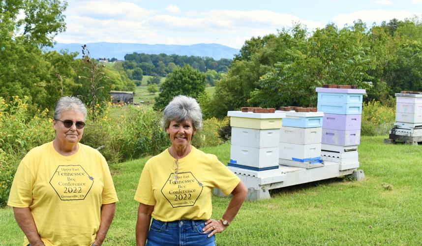 The Buzz on Bees: Greeneville To Host First-Ever Upper East TN Bee ...