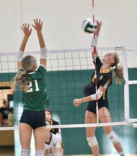 Lady Devils Advance, Lady Knights' Season Ends | Sports ...
