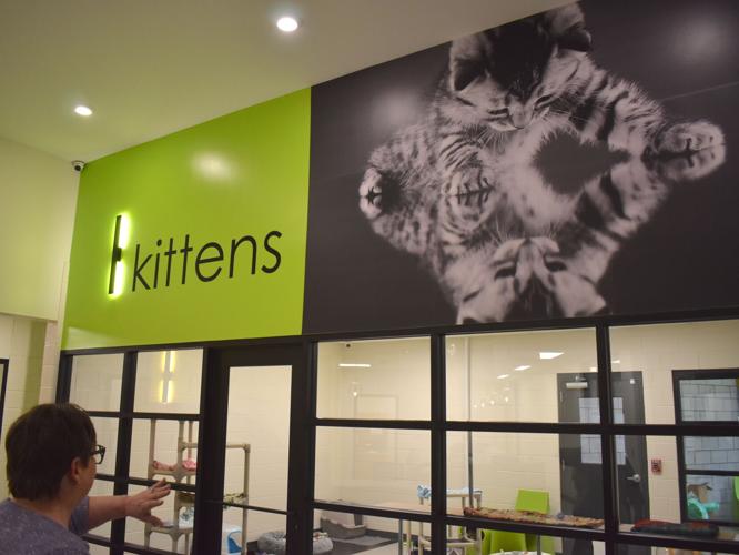 'A Dream Come True:' Humane Society Moves Into New Facility | Local ...