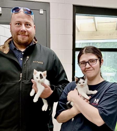 At The Shelter: Membership And May Adoption Update | ACCENT ...