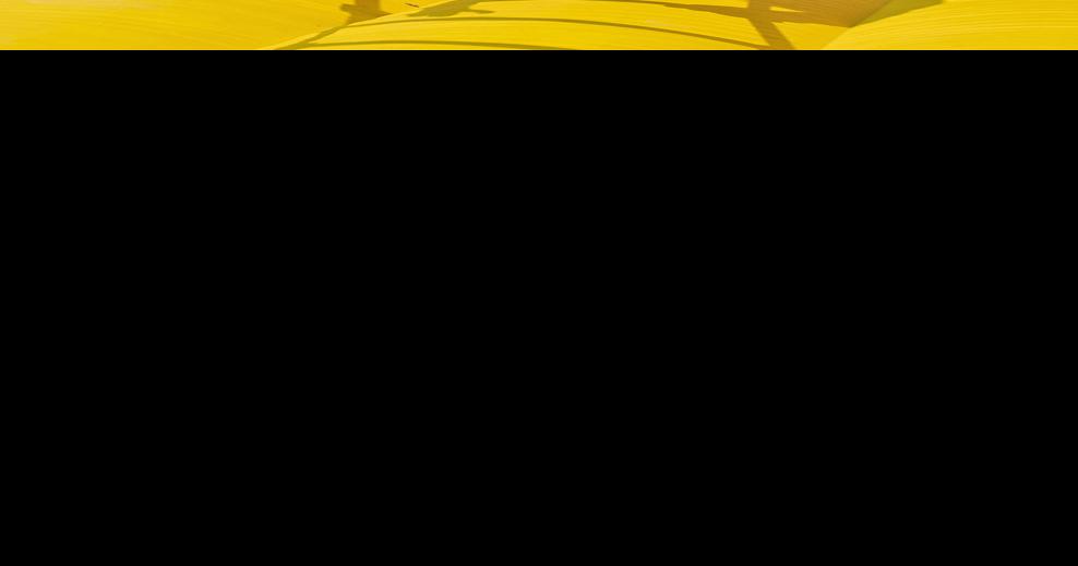 Having Fun In Mosheim | Local News | greenevillesun.com