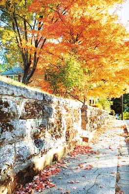 The Glory Of Fall In Greene County! | News | greenevillesun.com