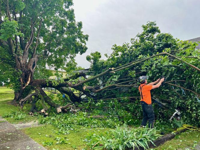 Storms Exit Region; Field Day Canceled | Local News | greenevillesun.com
