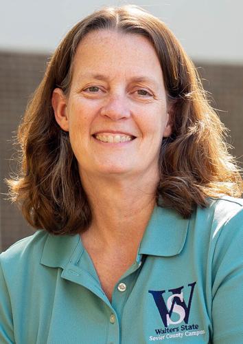 Walters State Professor Receives SCOLT Honors | Education ...