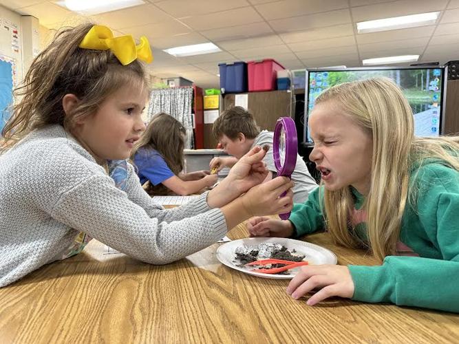 An Education In Regurgitation: Tusculum View Students Dissect Owl ...