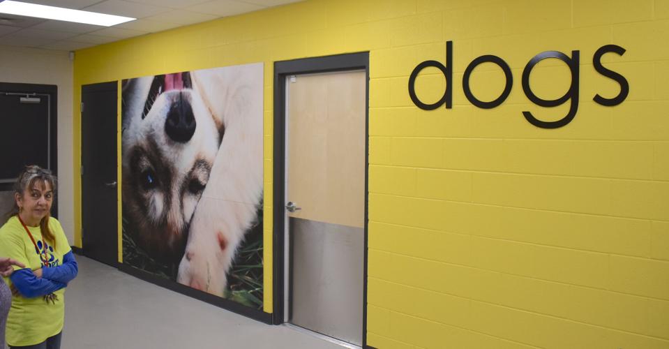 'A Dream Come True:' Humane Society Moves Into New Facility | Local ...