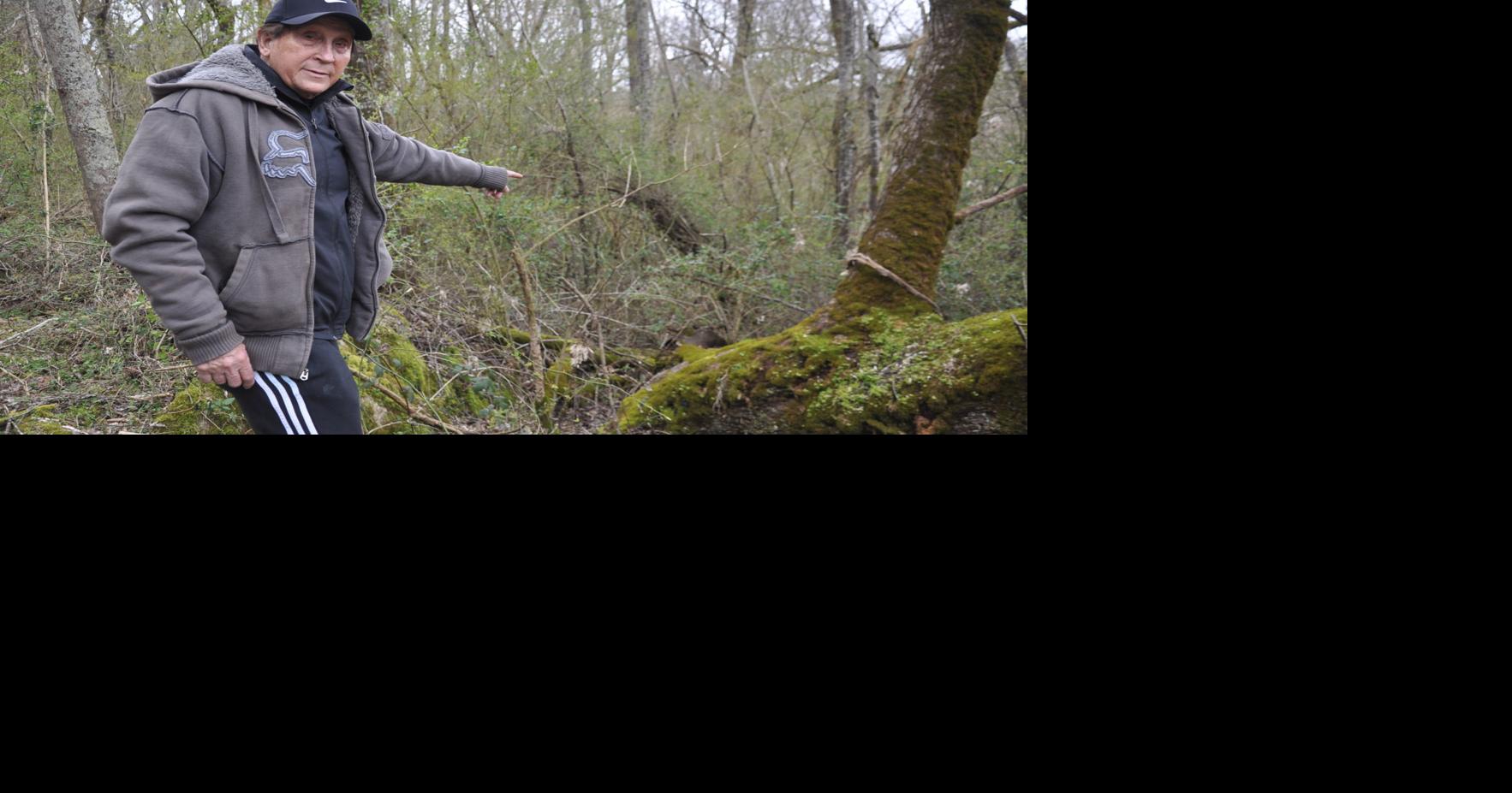 MASSEY: In Search Of The Missing Links | News | greenevillesun.com