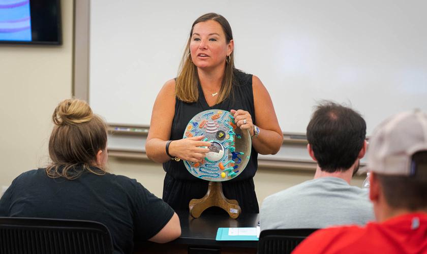 Walters State Named TBR College Of The Year | Health & Education ...