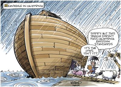 California Streaming | Editorial Cartoons | greenevillesun.com
