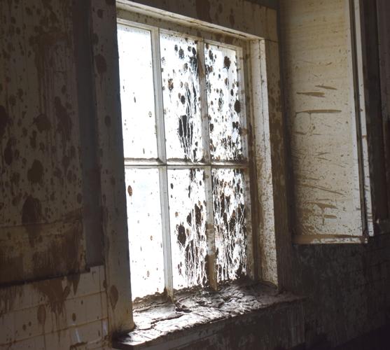 Historic Home Ravaged By A Historic Flood | Local News | greenevillesun.com