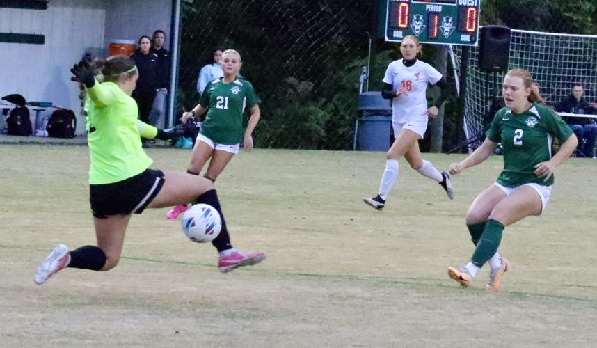 Shaw's Hat Trick Leads Greeneville's Win In Region Semis | Sports ...