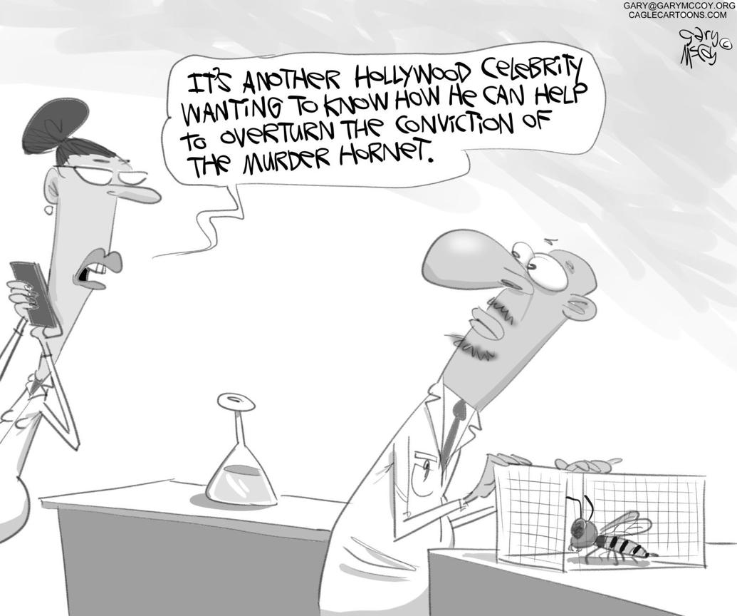 Murder Hornet Defense | Editorial Cartoons | greenevillesun.com