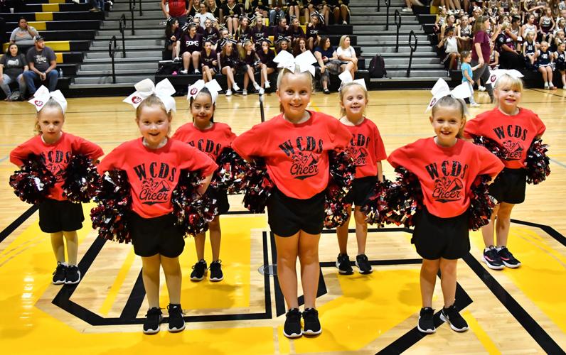 Cheer, Dance Teams Wow Crowd | Sports | greenevillesun.com