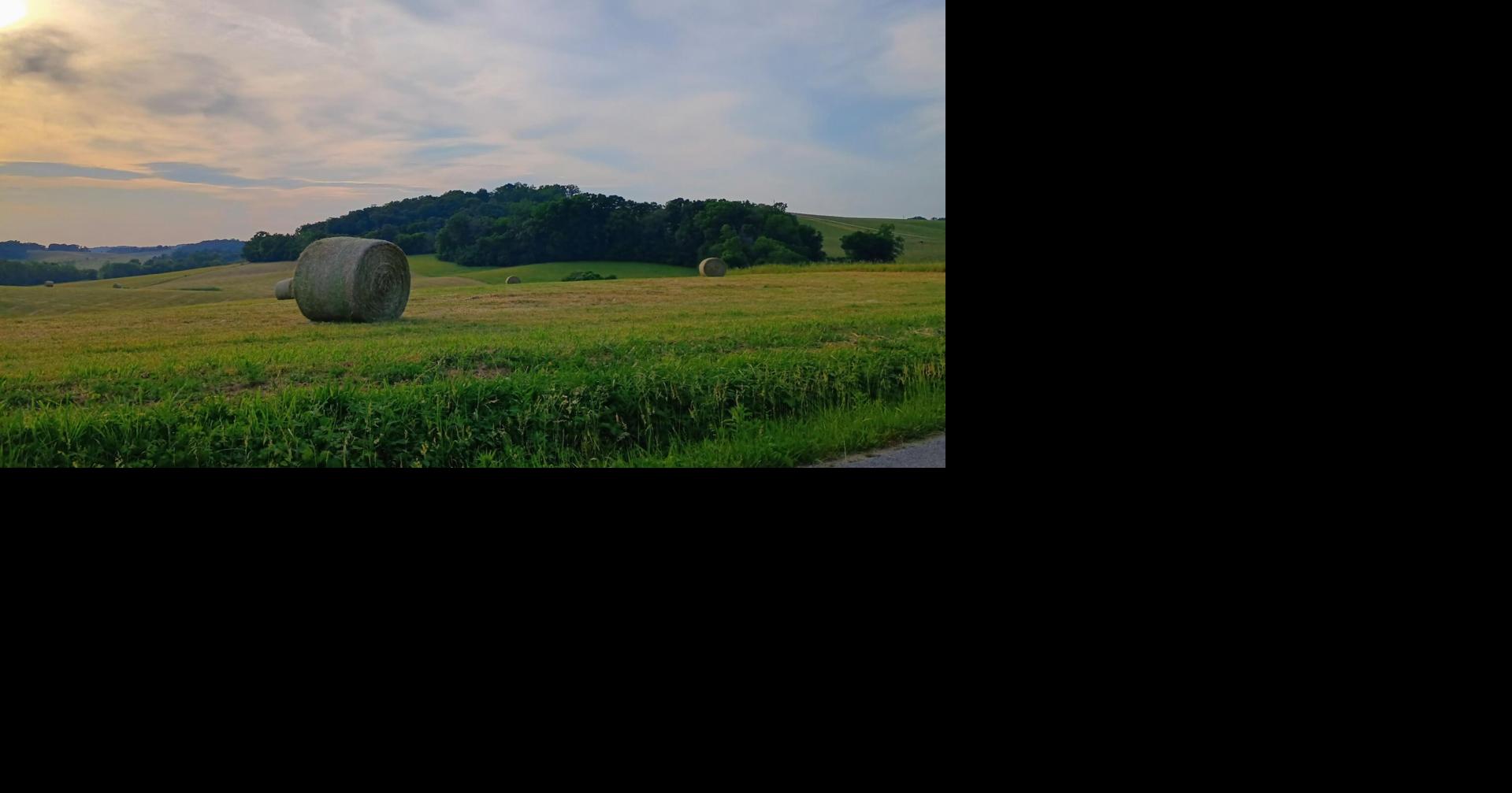 Lookin' good, Greene County! | Local News | greenevillesun.com