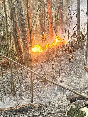 Meadow Creek Mountain Fire 60% Contained As Of Tuesday | Local News ...