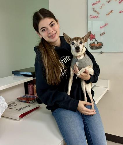 AT THE SHELTER: Adoption Center Marks Three Year Anniversary | ACCENT ...