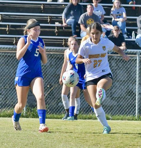 Lady Knights Fall To CSAS In Sectional Again | Sports | greenevillesun.com