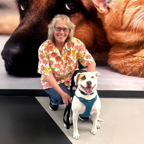 AT THE SHELTER: Membership and May adoption update | ACCENT ...