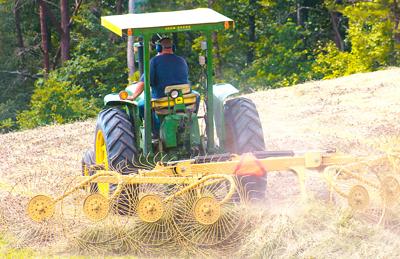 Cutting Hay In The Heat | Local News | greenevillesun.com