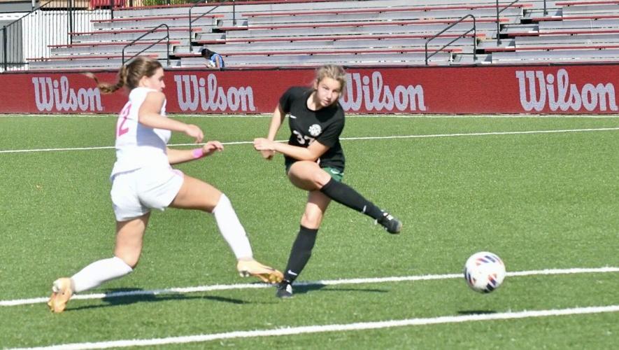 Lady Devils Fall In Soccer State Championship | Sports | greenevillesun.com