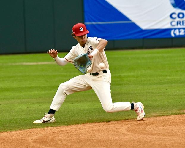 Danville Rallies Late To Nip Flyboys | Sports | greenevillesun.com