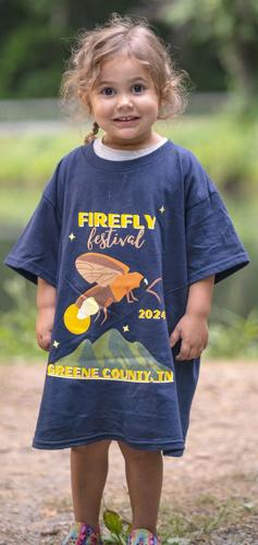 Firefly Display On Viking Mountain Dazzles Onlookers | Local News ...