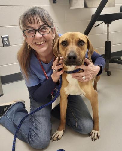 At The Shelter: Help Celebrate My 66th Birthday And Save Lives | ACCENT ...