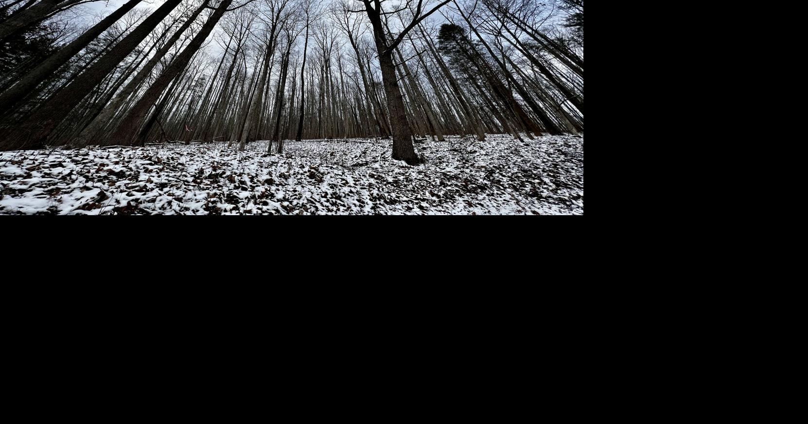 Sprinkling Of Snow | Local News | greenevillesun.com