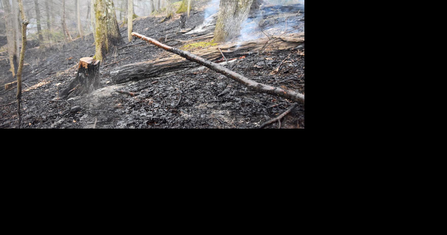 Forest Service: Starlight Fire's Benefits Like A Controlled Burn ...