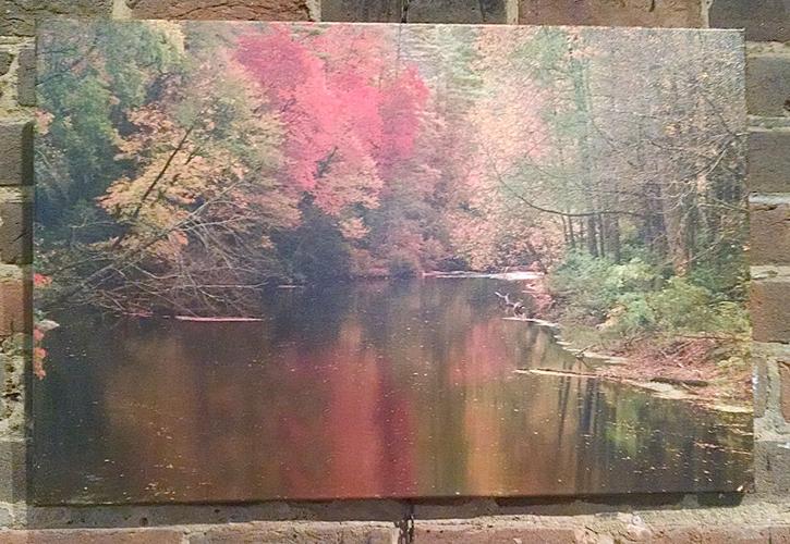 Shipe Photography On Exhibit | Entertainment | greenevillesun.com