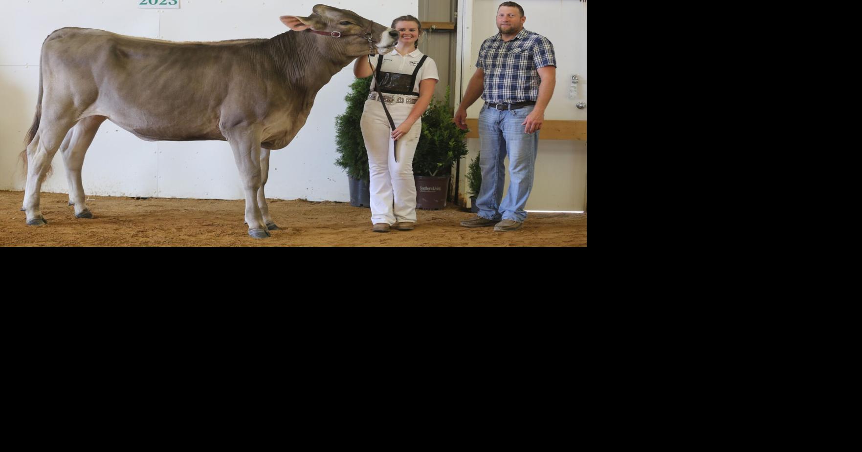 Greene County Fair Dairy Show Winner Marley Hipsher | Agriculture ...