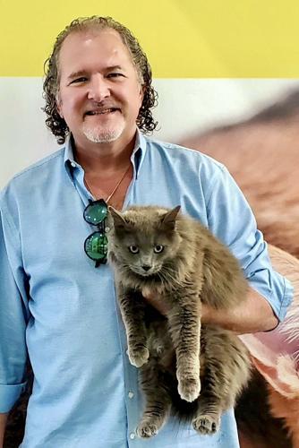 At The Shelter: Membership And May Adoption Update | ACCENT ...