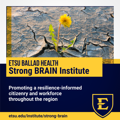 ETSU Ballad Health Strong BRAIN Institute Makes Progress In Education ...
