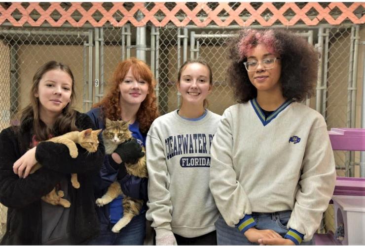 At The Shelter: New Adoption Center Is A Reality | ACCENT ...