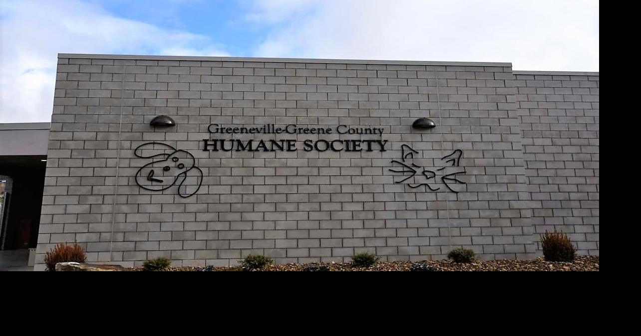 At The Shelter: New Adoption Center Is A Reality | ACCENT ...