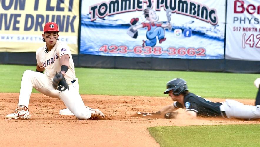 Danville Rallies Late To Nip Flyboys | Sports | greenevillesun.com