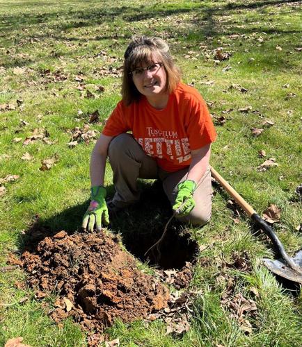 Tusculum Supports Tennessee Tree Day | Local News | greenevillesun.com