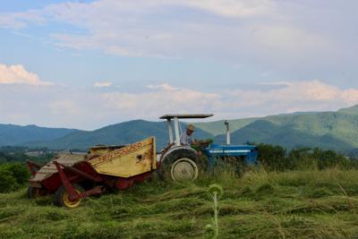 Cutting Hay At Hope Farm | Agriculture | greenevillesun.com