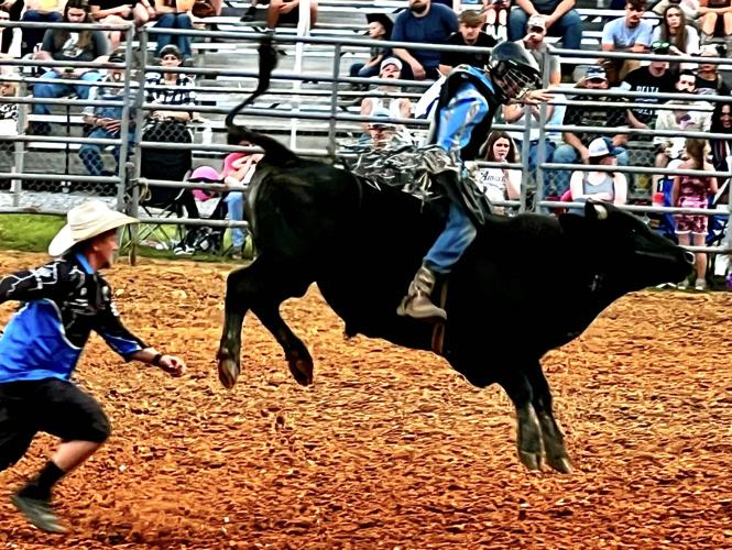 Rodeo, Wrestling And More: Lots Of Wrangling At The Fair | Local News ...