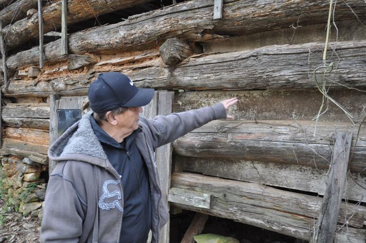 MASSEY: In Search Of The Missing Links | News | greenevillesun.com