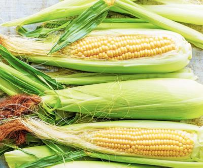 Ask Chef Mary: Sweet Corn Fritters Are Tasty Memories Of Summer ...